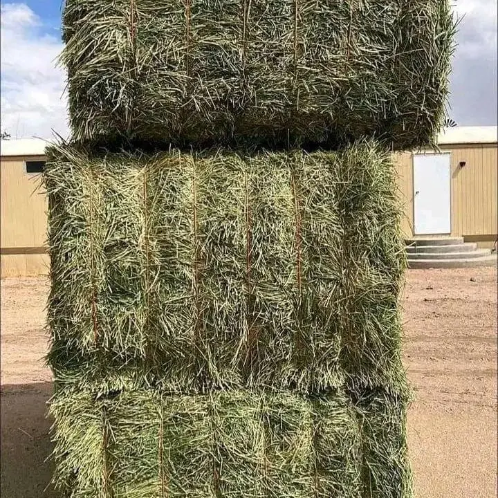 Alfalfa Hay Non-gmo / Alfalfa Hay Pellets Animal Feed - Buy Quality ...