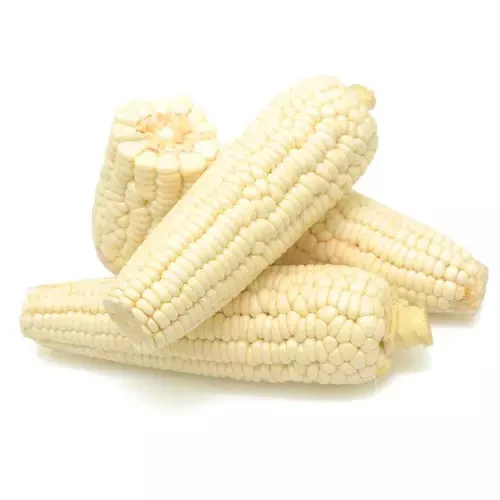 Fresh Yellow Corn White Corn - Buy Corn Pop Corn Machine,Corn Oil Corn ...