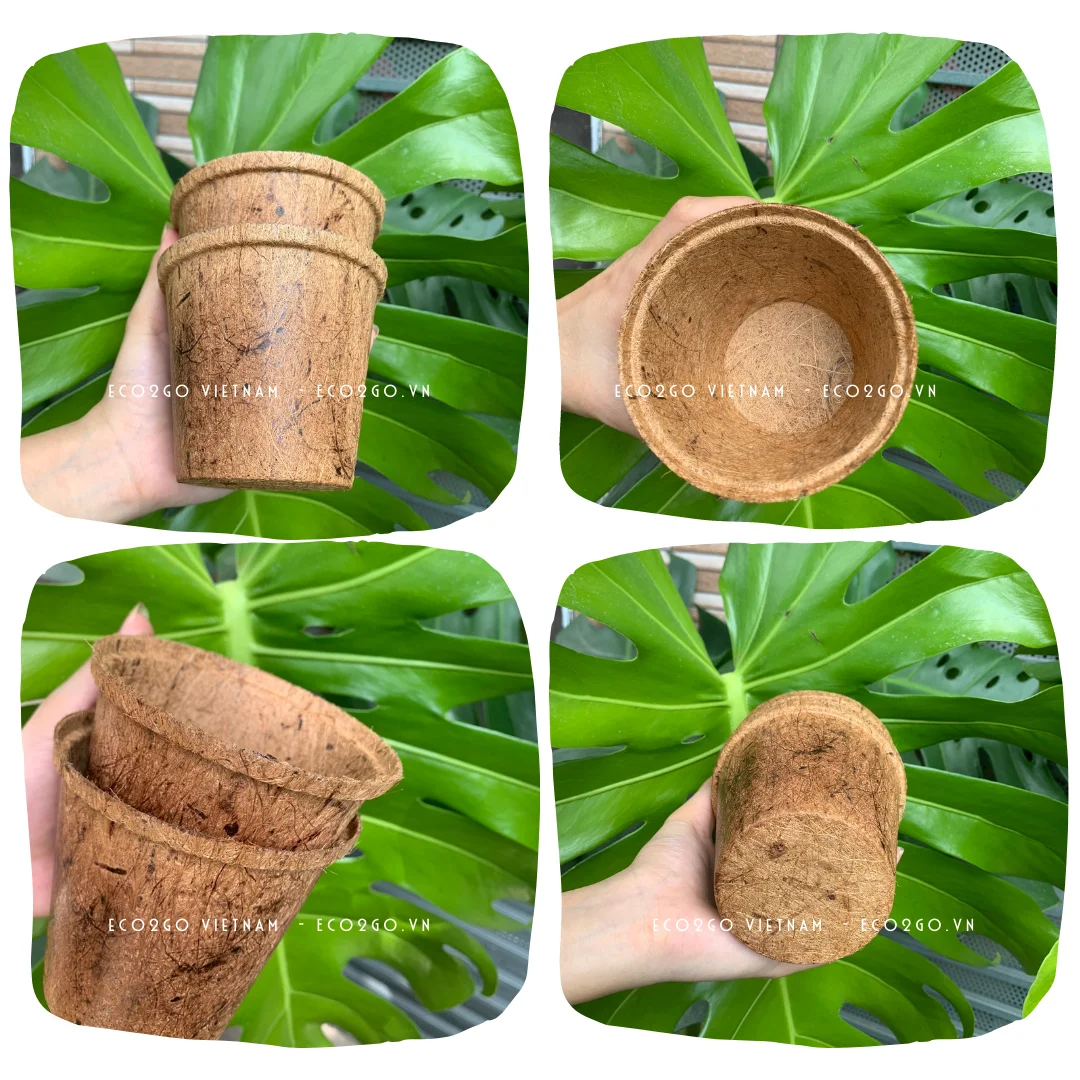 Eco Friendly 2024!!! Organic Coconut Fiber Pots/coconut Coir Fiber Pots ...