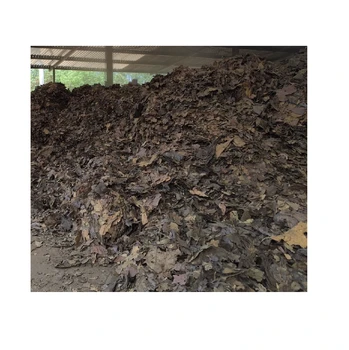 Whosale Dried Teak Leaves Packaging 23kg/pe Bag From Vietnam High ...