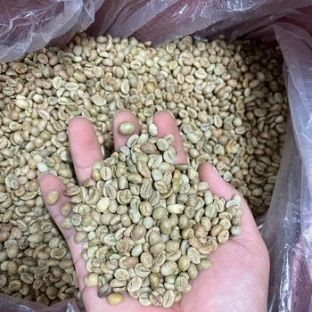 Wholesale Unwashed Robusta G1 S16 Wet Polished Premium Quality Coffee ...