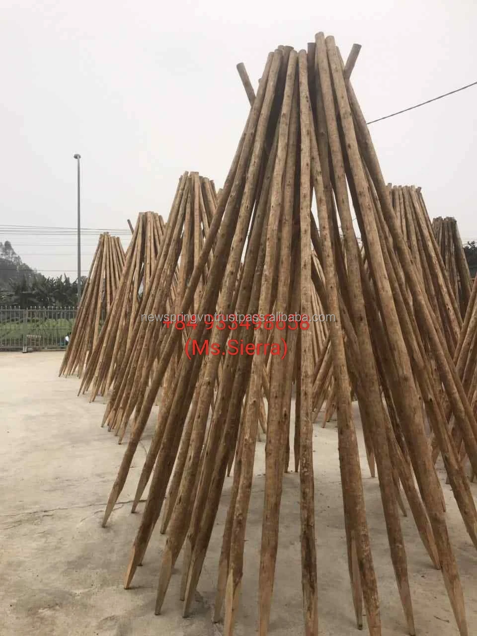 Wood Poles 8 Feet X 2 Inches Diameter With Many Uses As Tools And ...