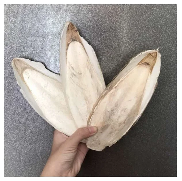 Top Quality Dried Cuttlefish Bone From Vietnam,100% Sun Dried ...