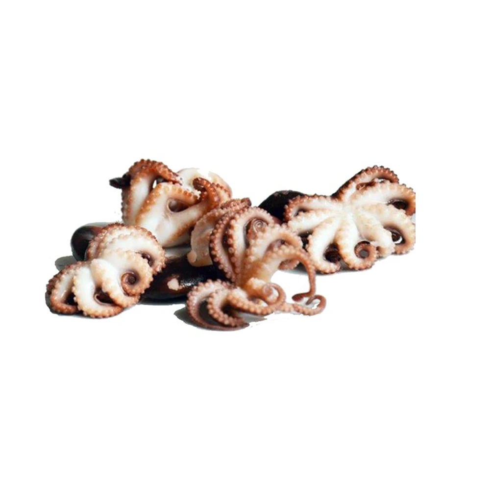 Frozen Whole Cleaned Baby Octopus - Buy Frozen Baby Octopus / Baby ...