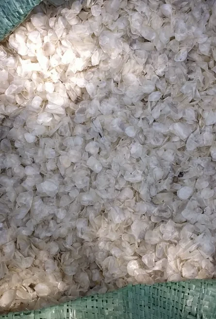 SEABASS FISH SCALE FLAKE PRODUCT- DRIED SEAFOOD SMALL PIECES of FILLETS ...