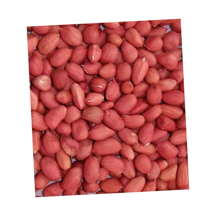 Premium Dried Organic Red Skin Peanuts For Sale At Wholesale Price ...