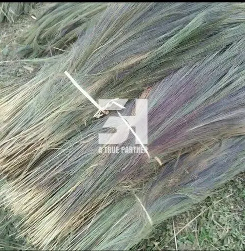 Grass Broom Made In Vietnam Ready To Ship With Best Price - Buy ...