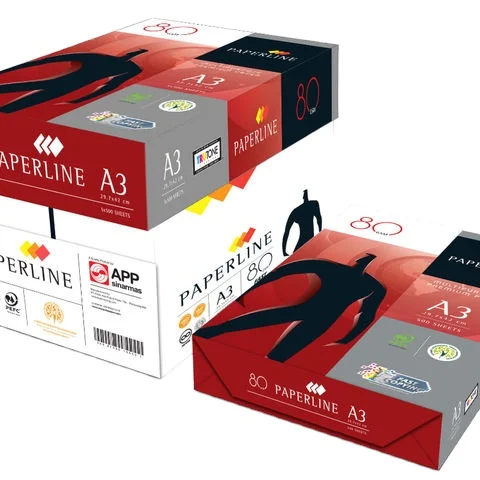 Paperline A4 Paper - Premium Quality for All Printing Needs