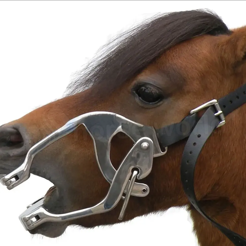 Veterinary Horse Mouth Gag Stainless Steel Leather Horse Farrier Tool ...