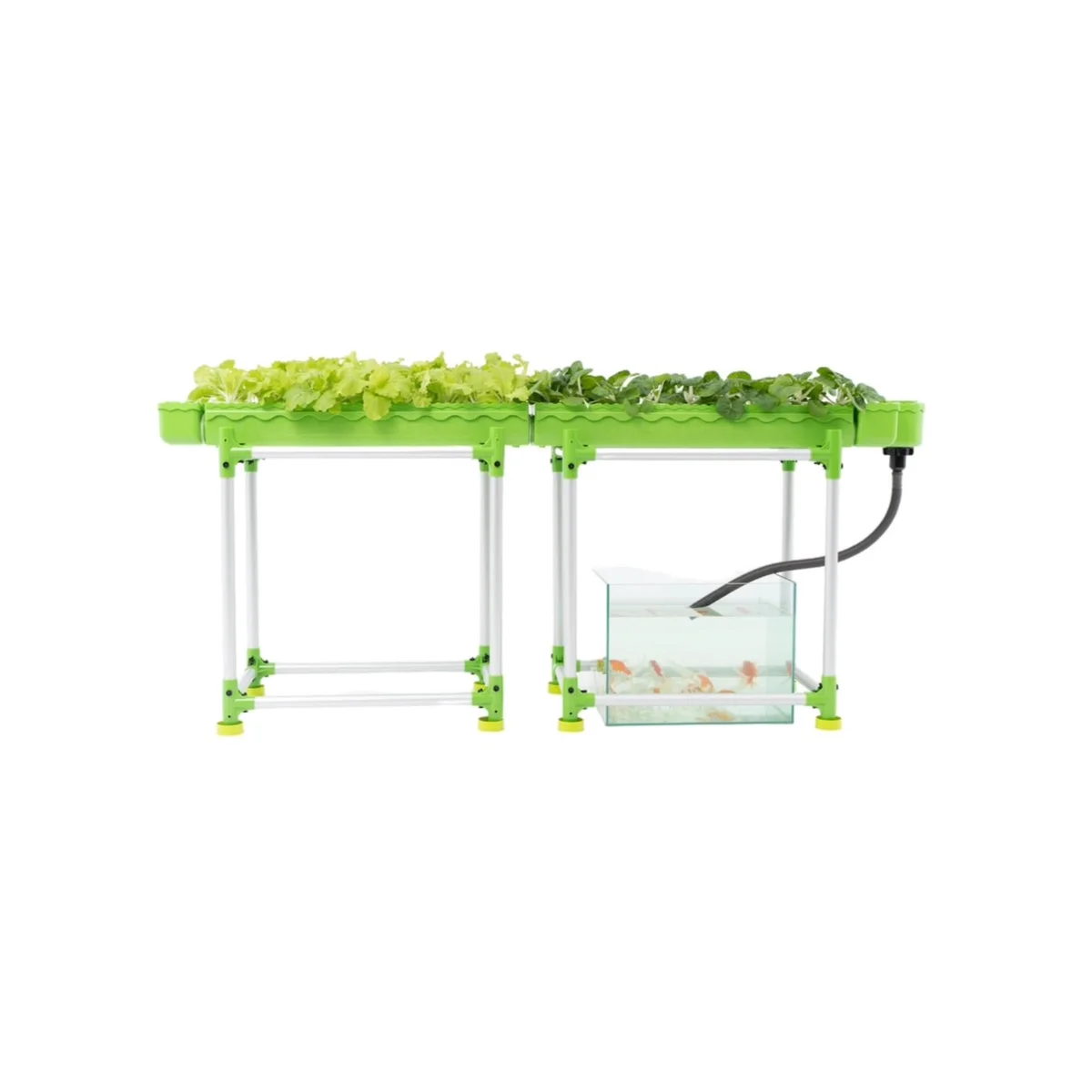 Medium Double One Layers Set for Hydroponic Fish Farming and Vegetable ...