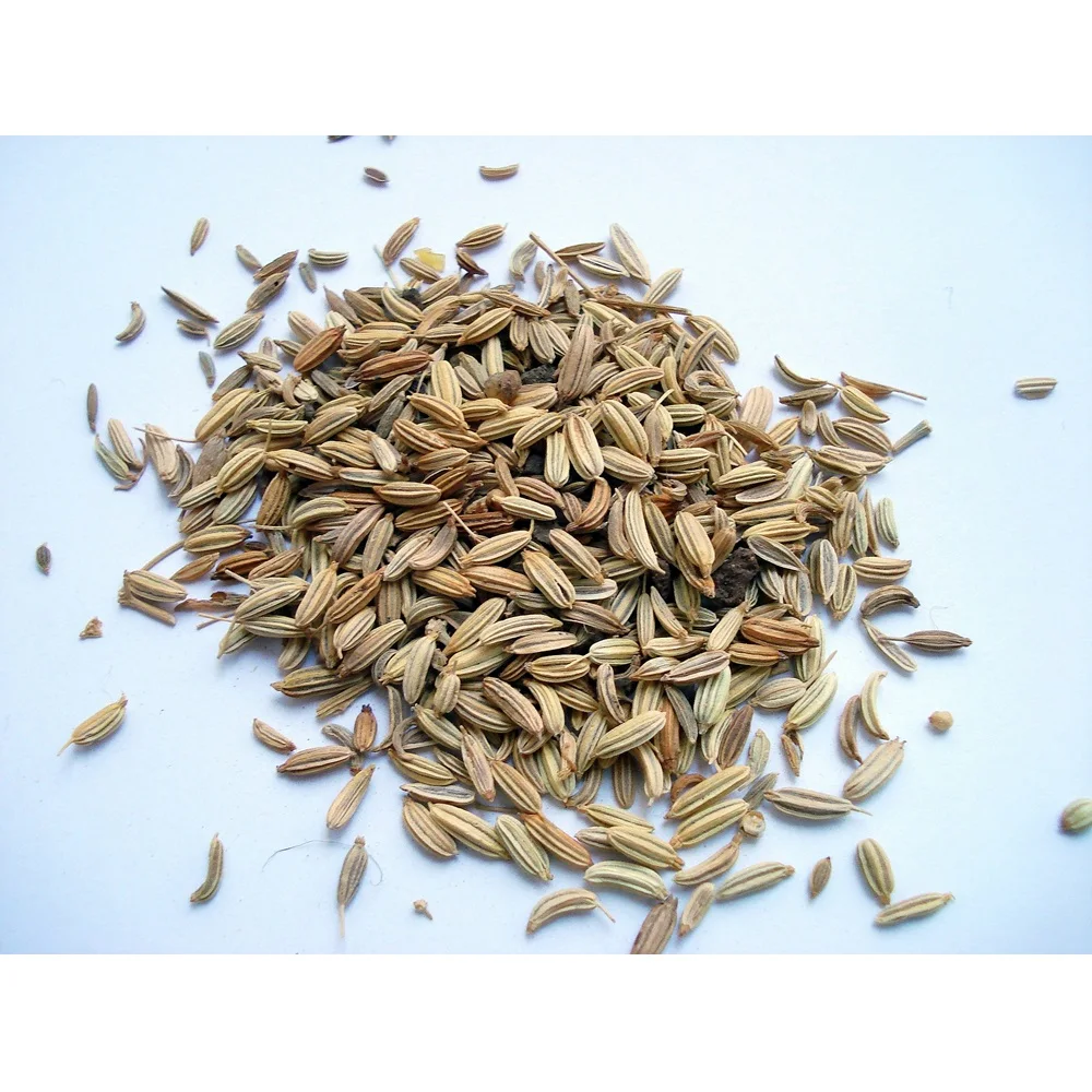 Oem Service Ovate Grainy Pure And Organic Sweet Fennel Seed For ...