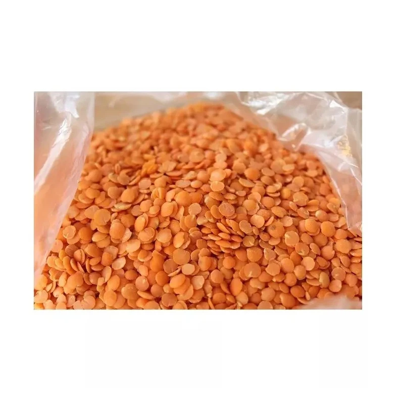 High Quality Organic Canadian Red Lentils for Sale