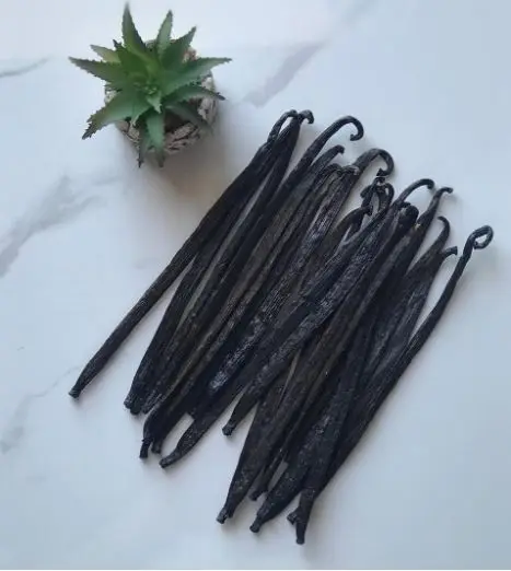 17-20cm Dried Natural High Quality Vanilla Planifolia Pods For Sale ...