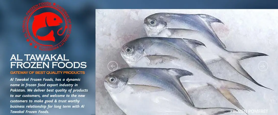 Frozen Ribbon Fish Ready For Immediate Shipment In Bulk Quantity Frozen ...