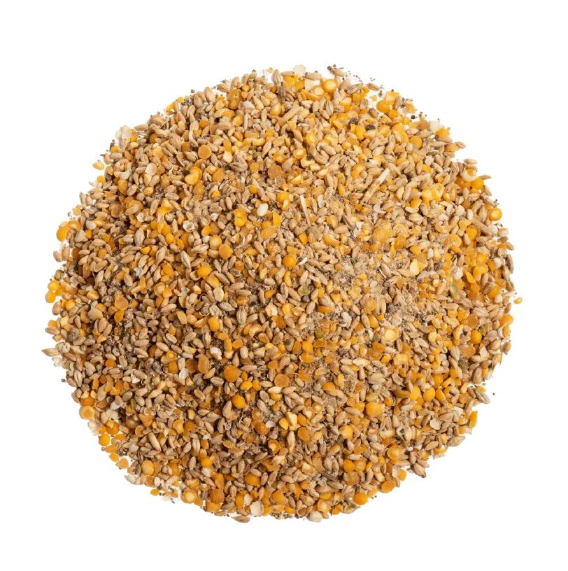 Direct Supplier Of Broiler Chicken Feed At Wholesale Price - Buy High ...