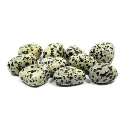 Natural Stone Dalmatian Tumbled Stone For Healing Dalmatian Gemstone Tumble Stone Crystal For ...
