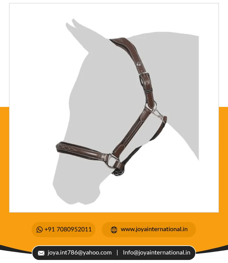 Equestrian Horse Riding Smart Halter Contrast Stitching Leather Bridle ...