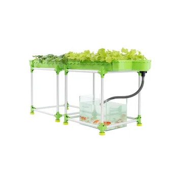 Aquaponic Fish Farming Growing System Kit Large Double One Layers Set ...