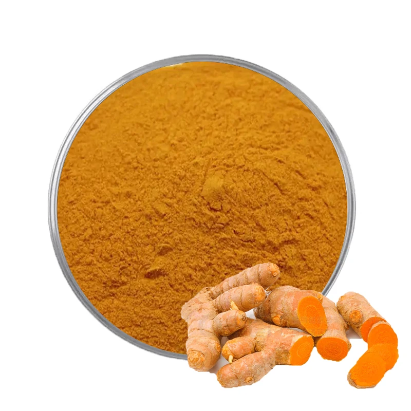 Best Quality 2024 Supplement Curcumin Powder Turmeric Extract Powder ...