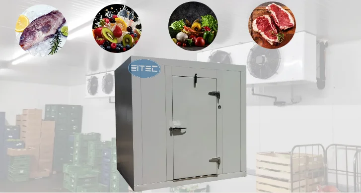 Cold Room Walk-in Cooler - Efficient Storage Solutions