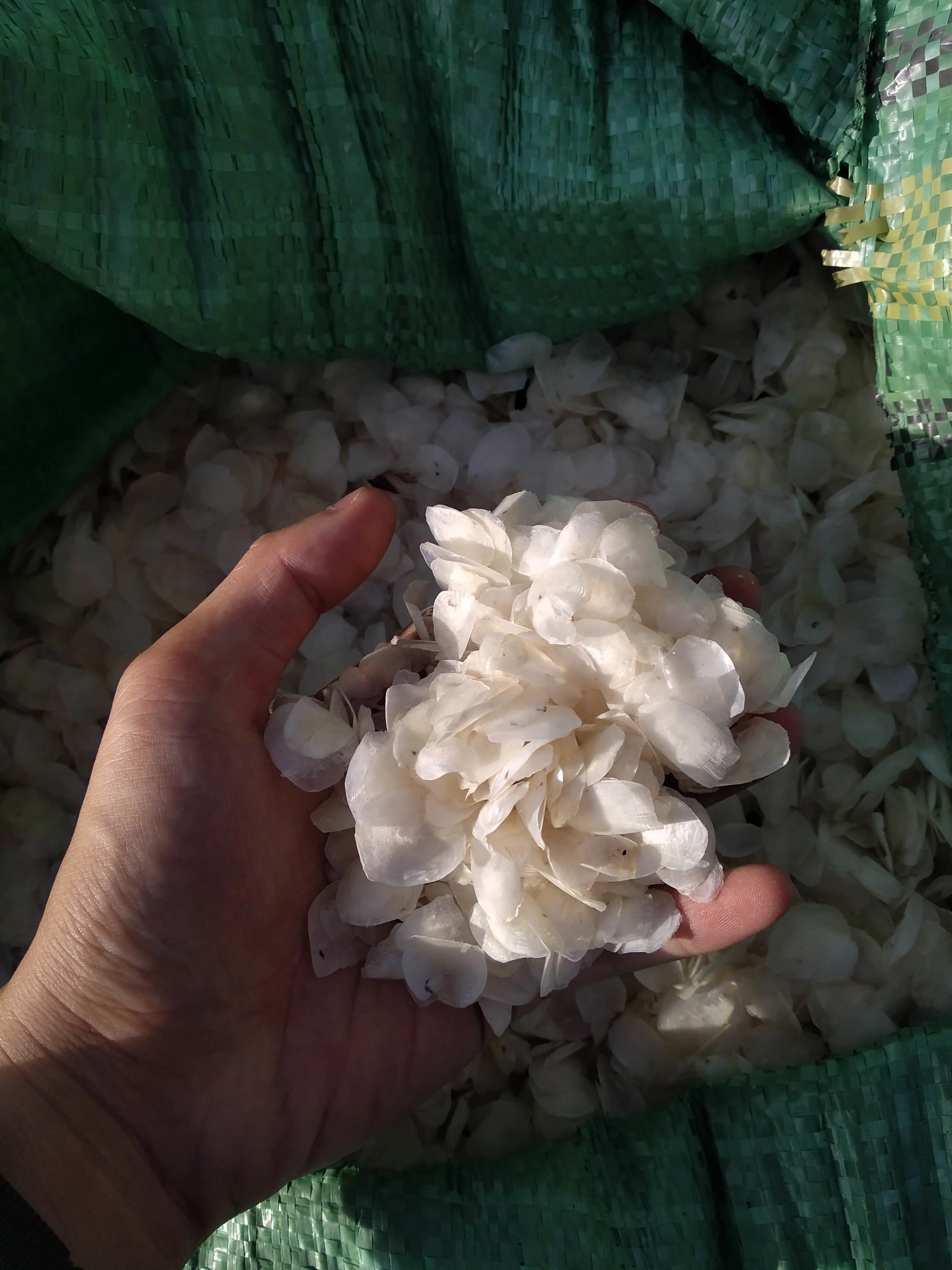 Proteins and Nutrients Sun Dried Tilapia Fish Scale Red Snapper Scale ...