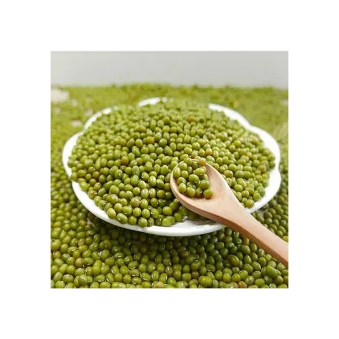 Dried Mung Bean/moong Dal Seed/sprouting Seeds Mung Bean Myanmar Origin ...