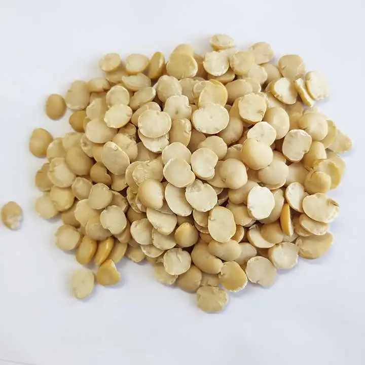 High Quality Dried Fava Beans for Cannery or Fried Beans