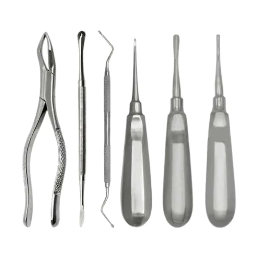 Veterinary Stainless Steel Dental Extraction Kit for Dogs Manual Pet ...