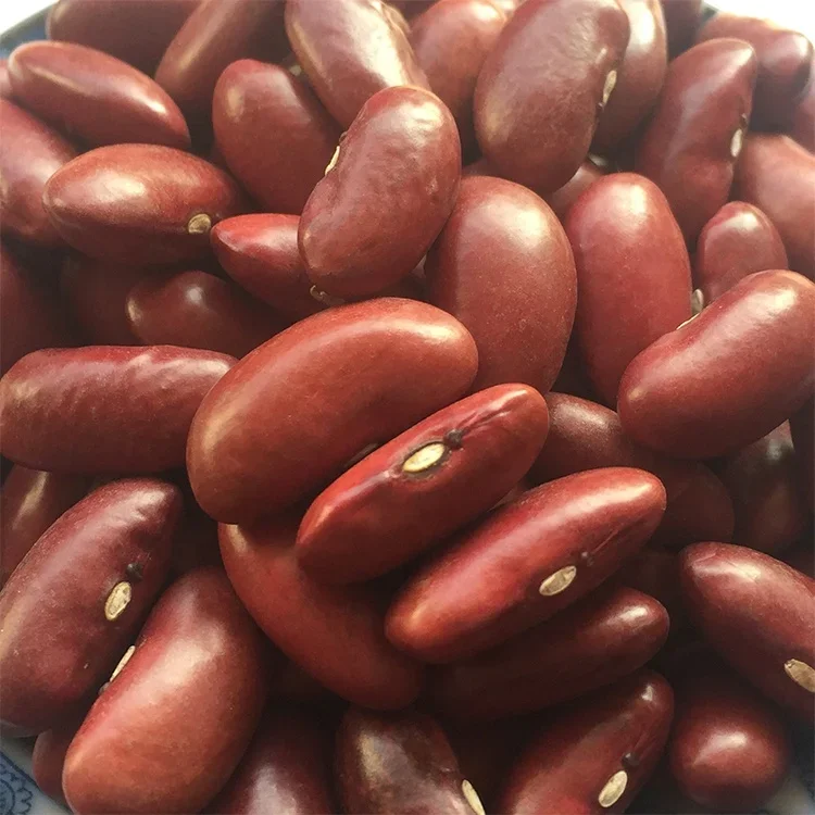 Bulk Small Size Kidney Beans White Dried Navy Beans White Beans - Buy ...