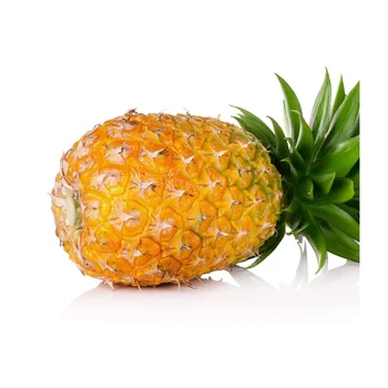 Fresh Pineapple 100% Natural Sweet Tropical & Sub-tropical Fruit Packed In Box Made In Austria ...