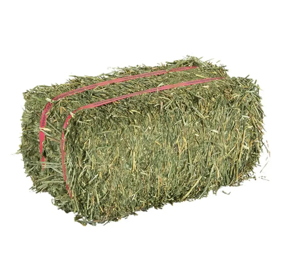 Premium Cheap Alfalfa Hay In Bales,Rhodes Grass,/ Alfalfa Hay Animal ...