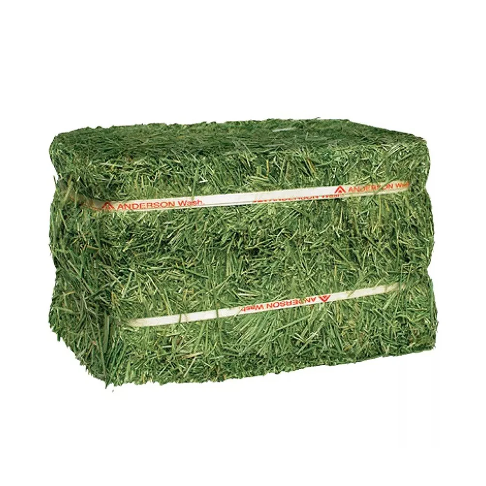 Quality Alfalfa Hay Bays / Pellets / Dehydrated Alfalfa Cubes Hay Cheap ...