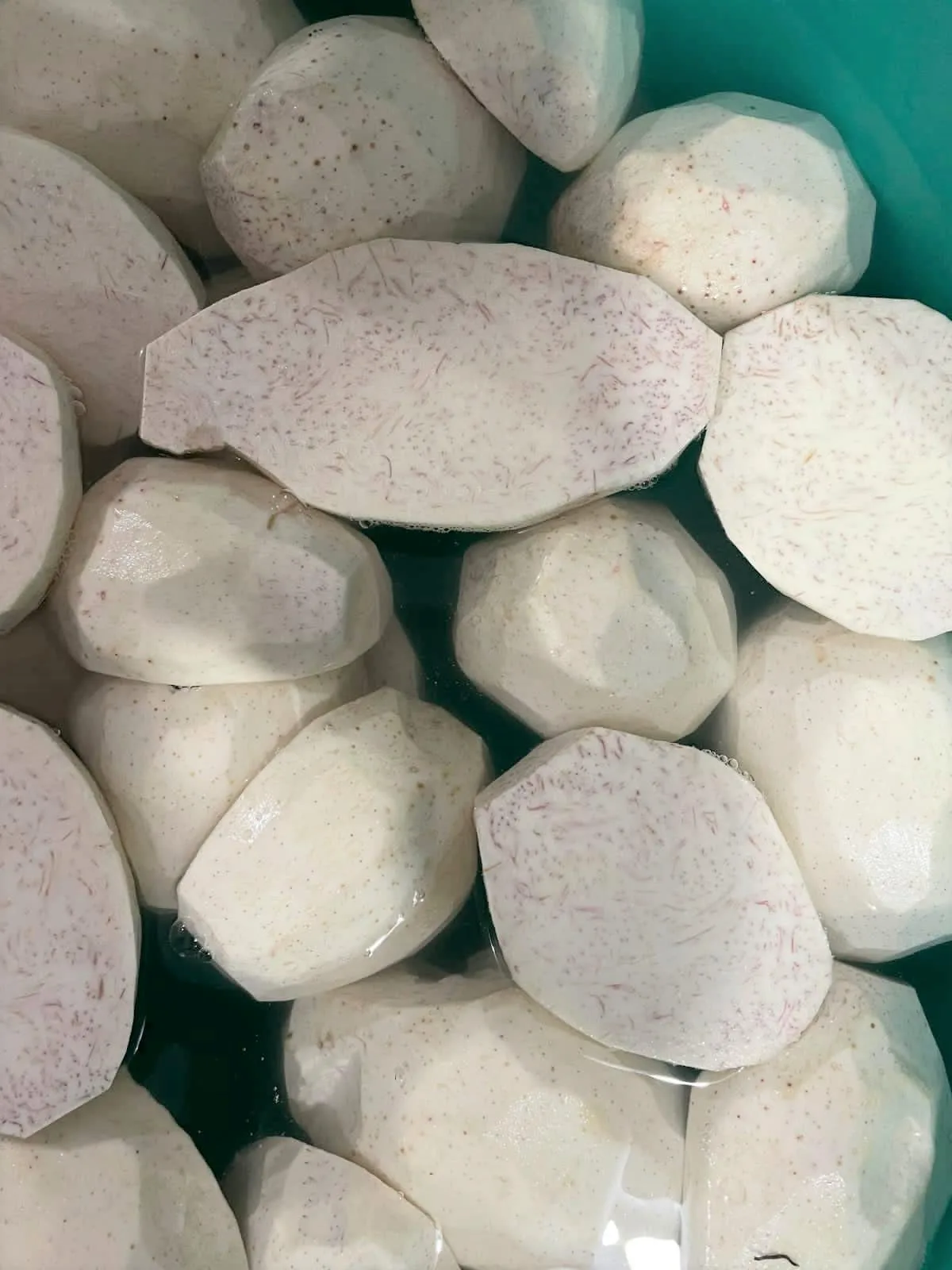 Frozen Taro Root - Wholesale IQF Processed Cubes & Slices