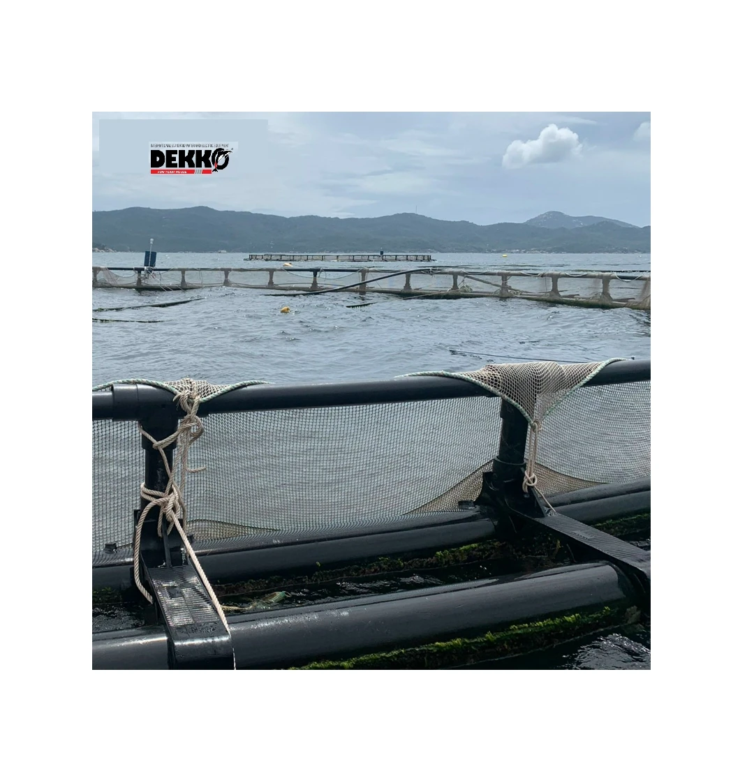 Hdpe Floating Fish Farming Cage Hdpe Bracket For Fish Hdpe Double Pipe ...