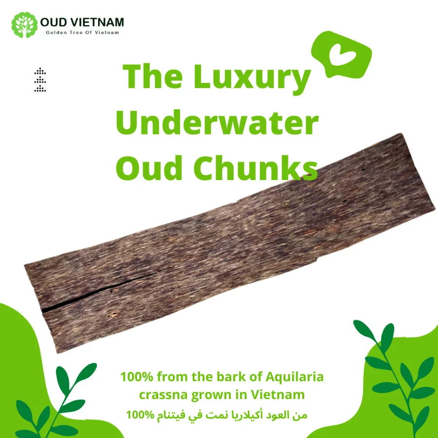 High Quality Vietnam Oud Chunks - Natural Wood Fragrance