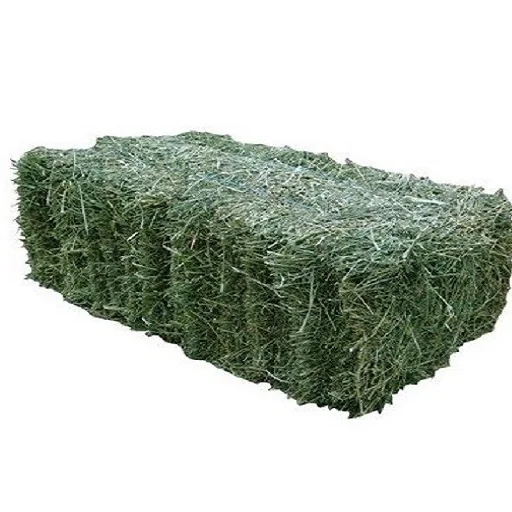 Alfafa Hay For Animal Feeding /alfalfa Hay Pellets /timothy Hay In ...