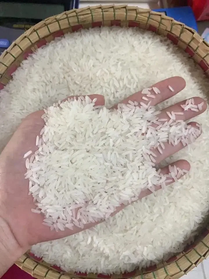 Parboiled Rice Usa Jasmine Rice Parboiled Rice - Buy Rice Basmati Rice ...