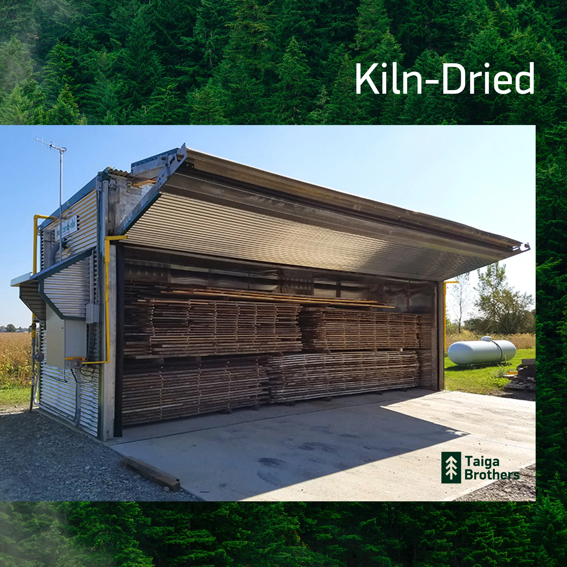 Pine Wood Timber Planks Lumber Kd Solid Wood Board Spruce Construction ...