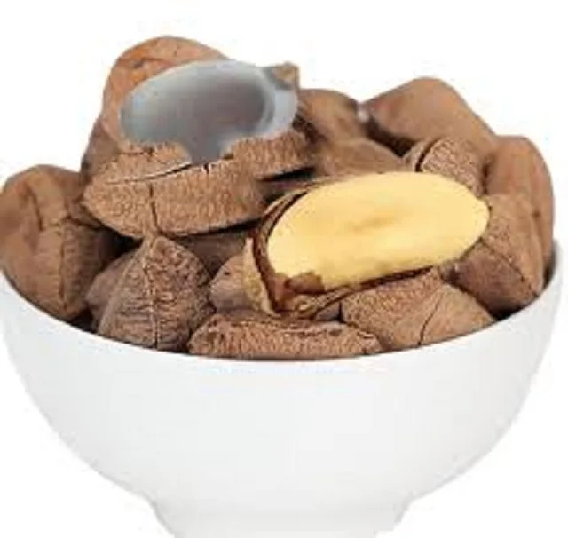 Brazil Nuts Natural Raw Nuts Shelled Mix With Medium Large And Extra ...
