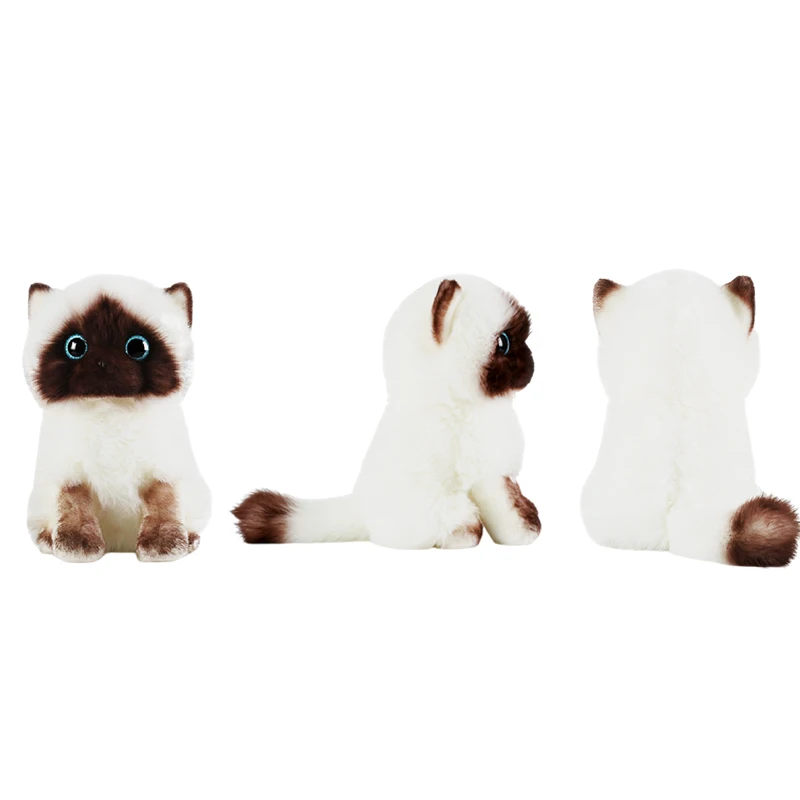 Realistic White Animal Ragdoll Cat Plush Doll Cheap Custom Animal ...