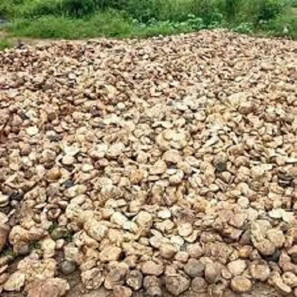 Quality Cup Lump/ Naturally Coagulated Rubber / Dry Natural Rubber Cup ...