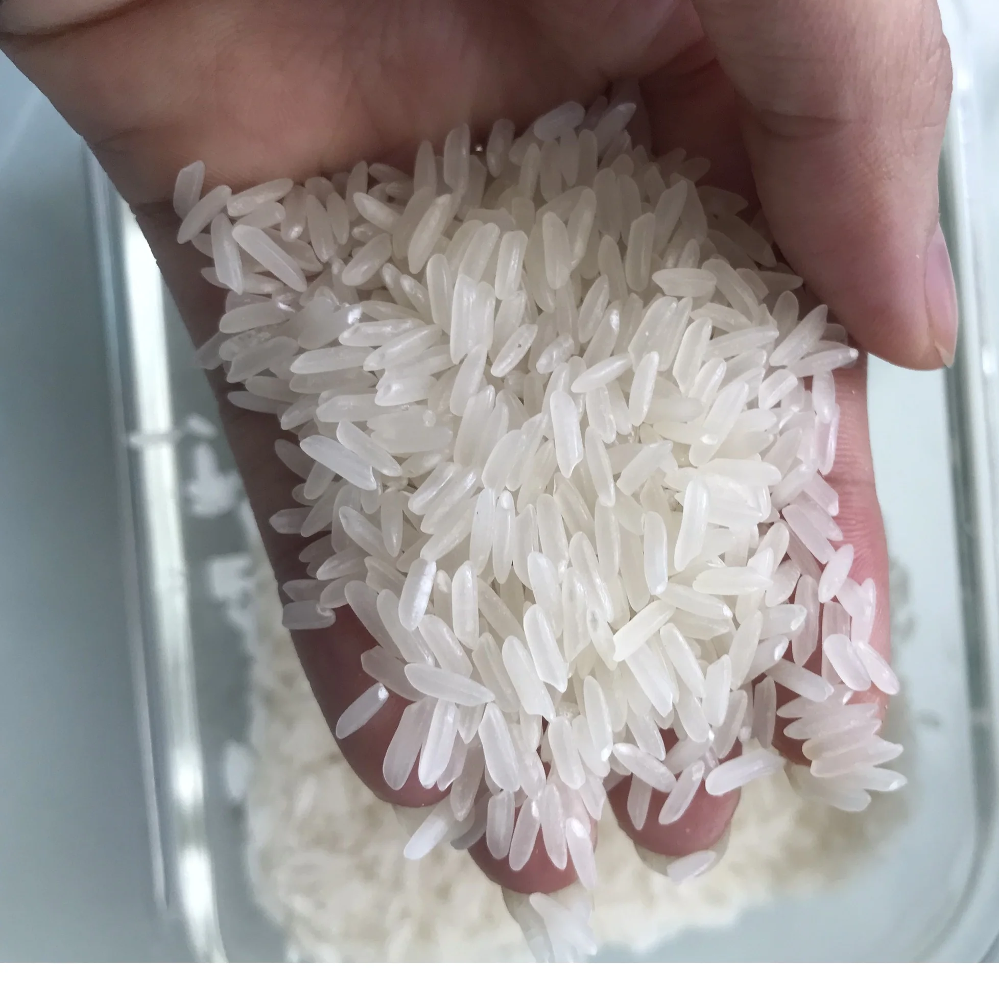 Jasmine Rice - Premium Long Grain White Rice for Sale