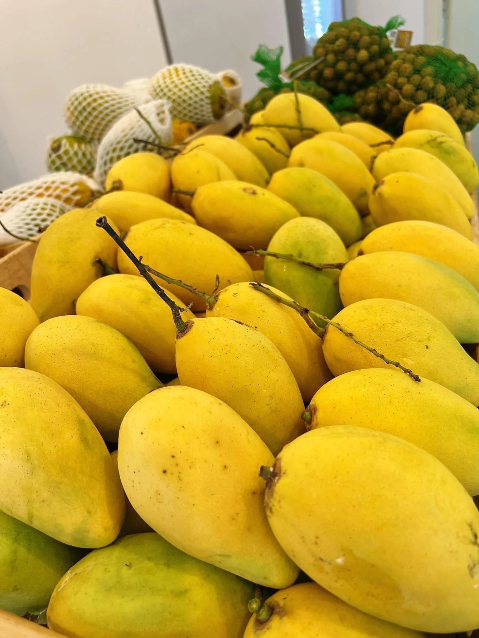 IQF Frozen Mango Chunks/ Dices/ Cubes/ Slices High Quality in Wholesale ...