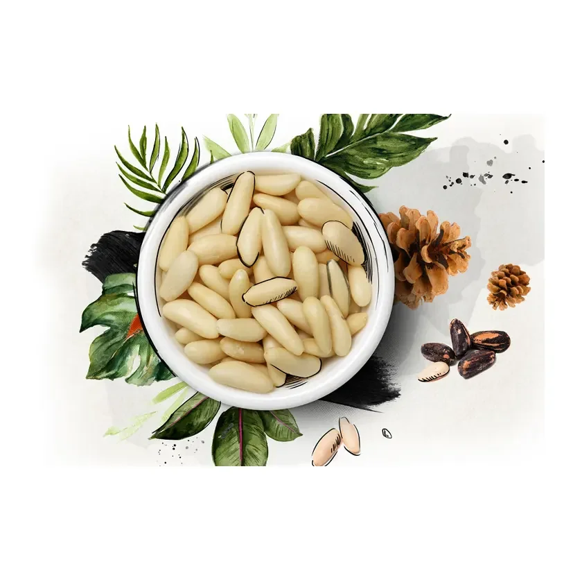 Premium Grade Pine Nuts Seed Brazil Pine Nuts Kernel Pine Nuts For Sale - Buy Nuts Almonds ...