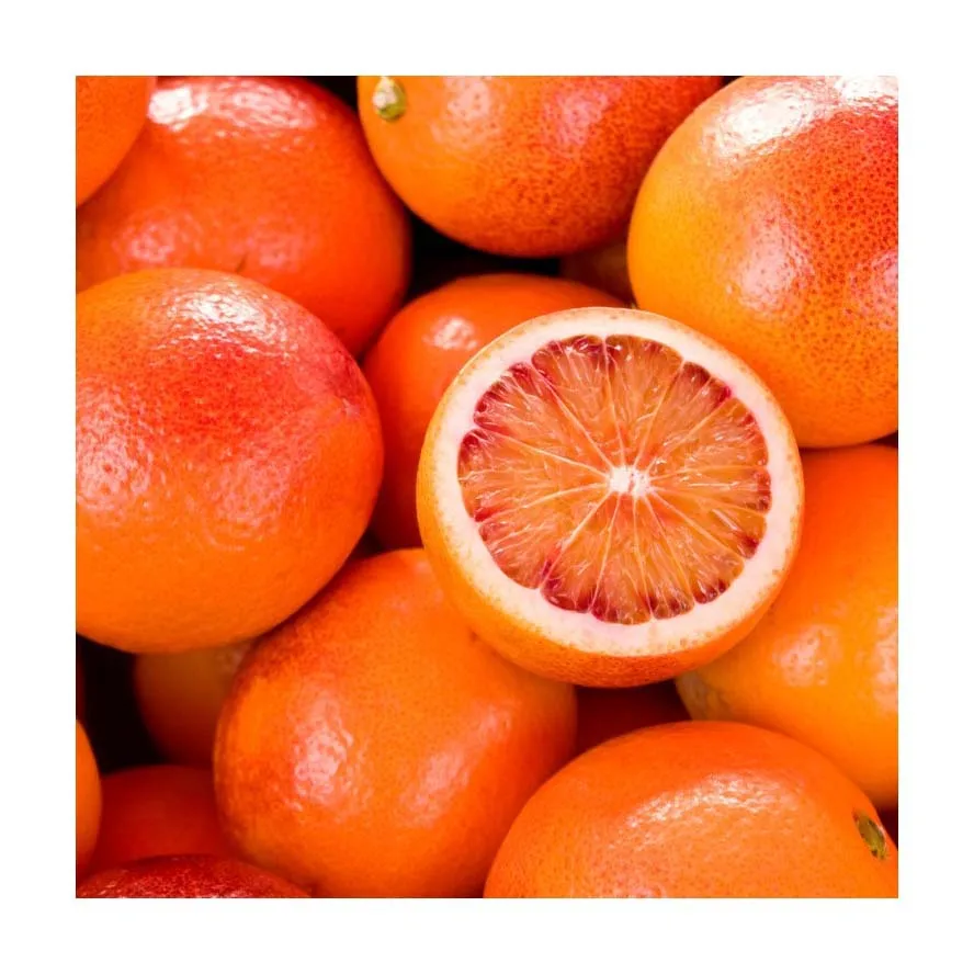 Fresh Navel Valencia Orange And Mandarin Oranges Citrus From Ready To ...