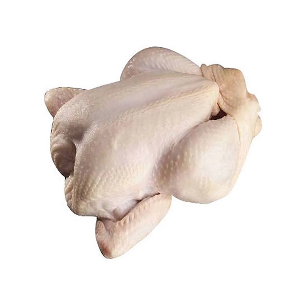 Fresh Frozen Chicken Whole And Parts Premium Top Quality For Sale Halal ...