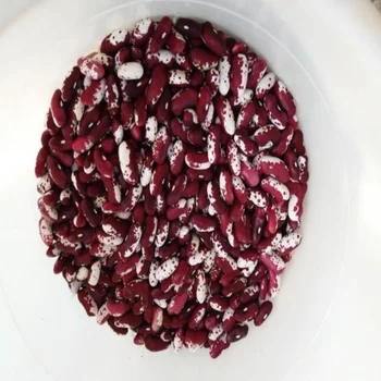Dried Long Shape Light Speckled Kidney Beans Pinto Beans - Buy Red And ...