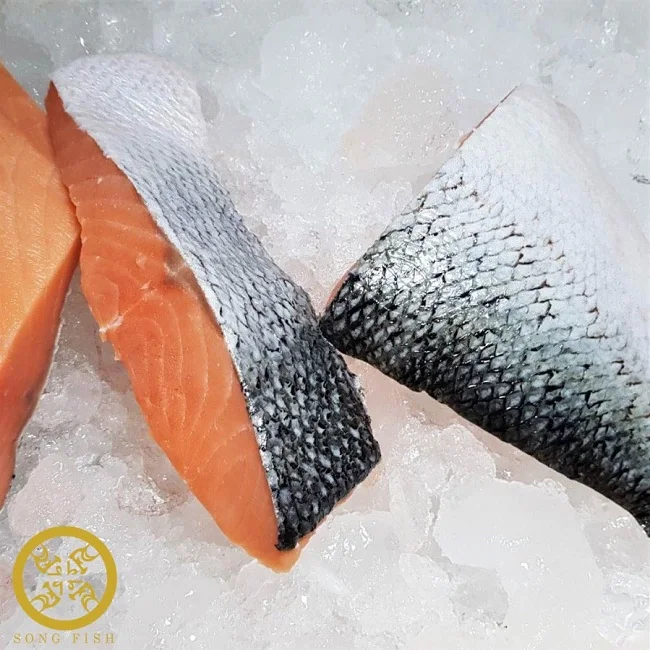 Salmon Fish Frozen Fillet Fresh And Frozen Atlantic Salmon Fish/whole ...