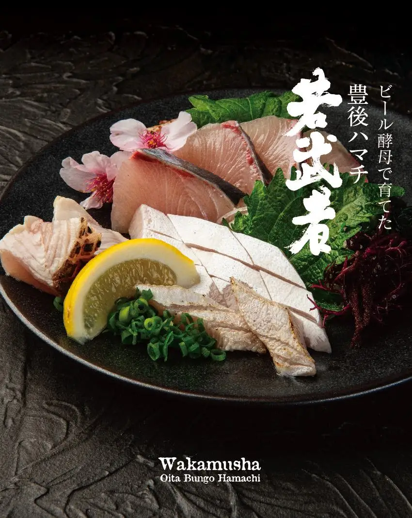 Frozen Yellow Tail Amberjack Fillet Japanese Fish - Buy Frozen Yellow ...