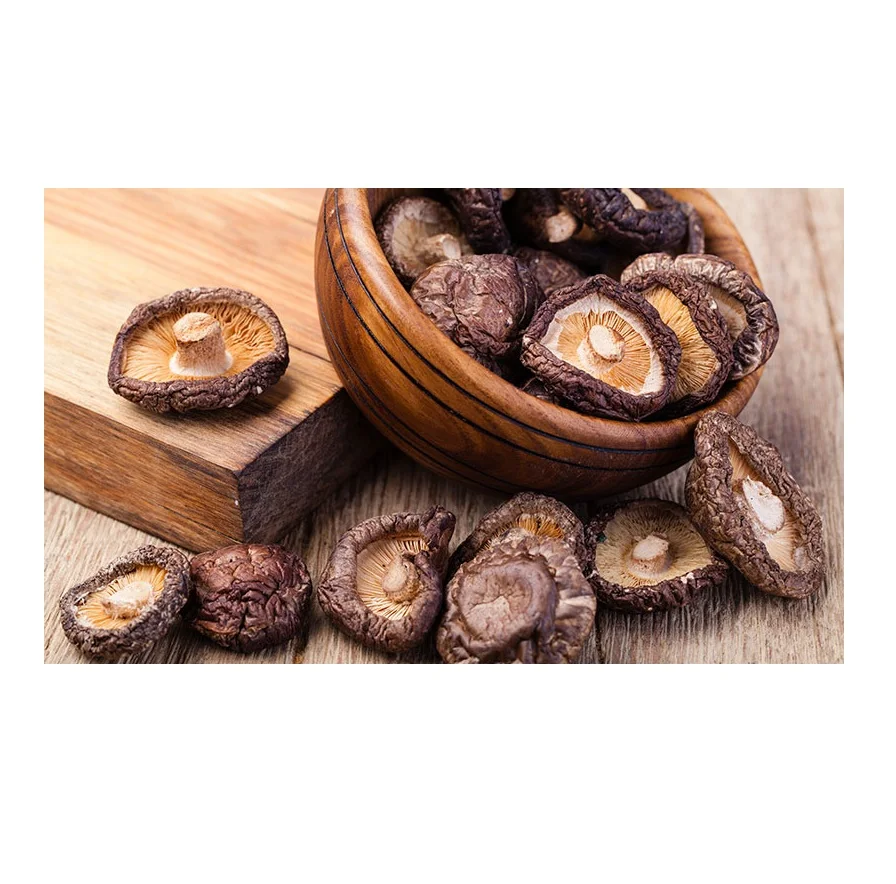 Export Flower Shiitake Mushroom Dried From Fresh Raw Material - Buy Hot ...